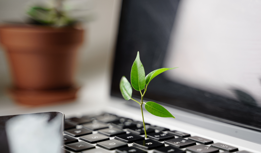 Ensuring Authentic Sustainability Messaging in Your Business